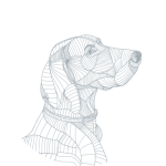 PSH – Pet Skin HealthCare – שמפו לפרוות לבנות Total Brown Shampoo 1L ...